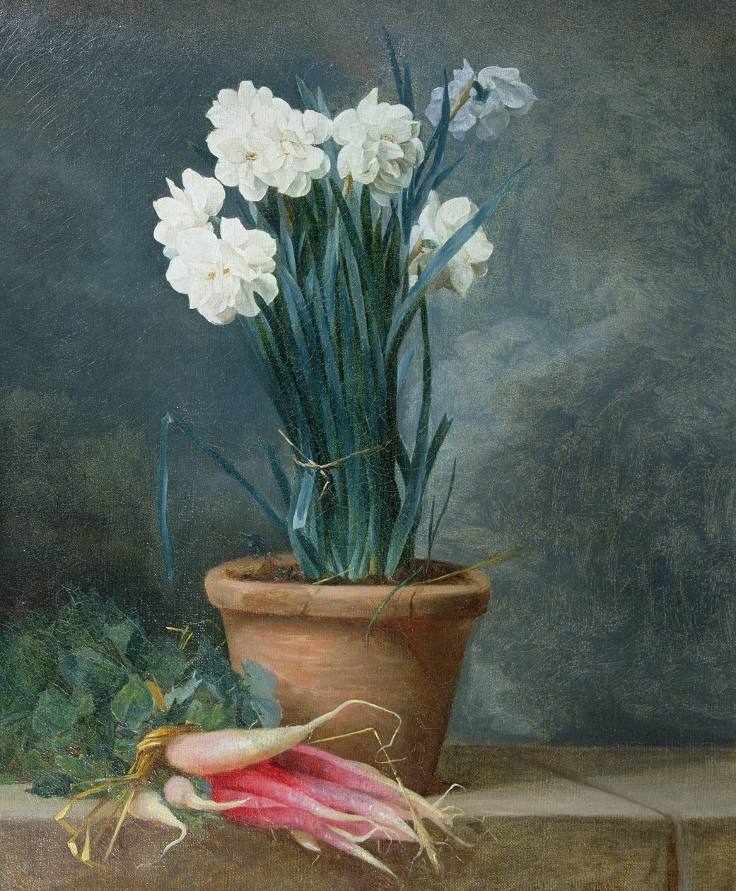 Still Life of Narcissi in a Terracotta Pot