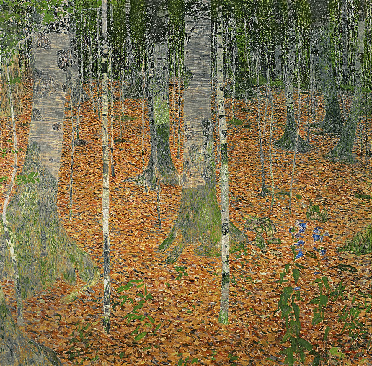 The Birch Wood, 1903 by Gustav Klimt: Buy fine art print