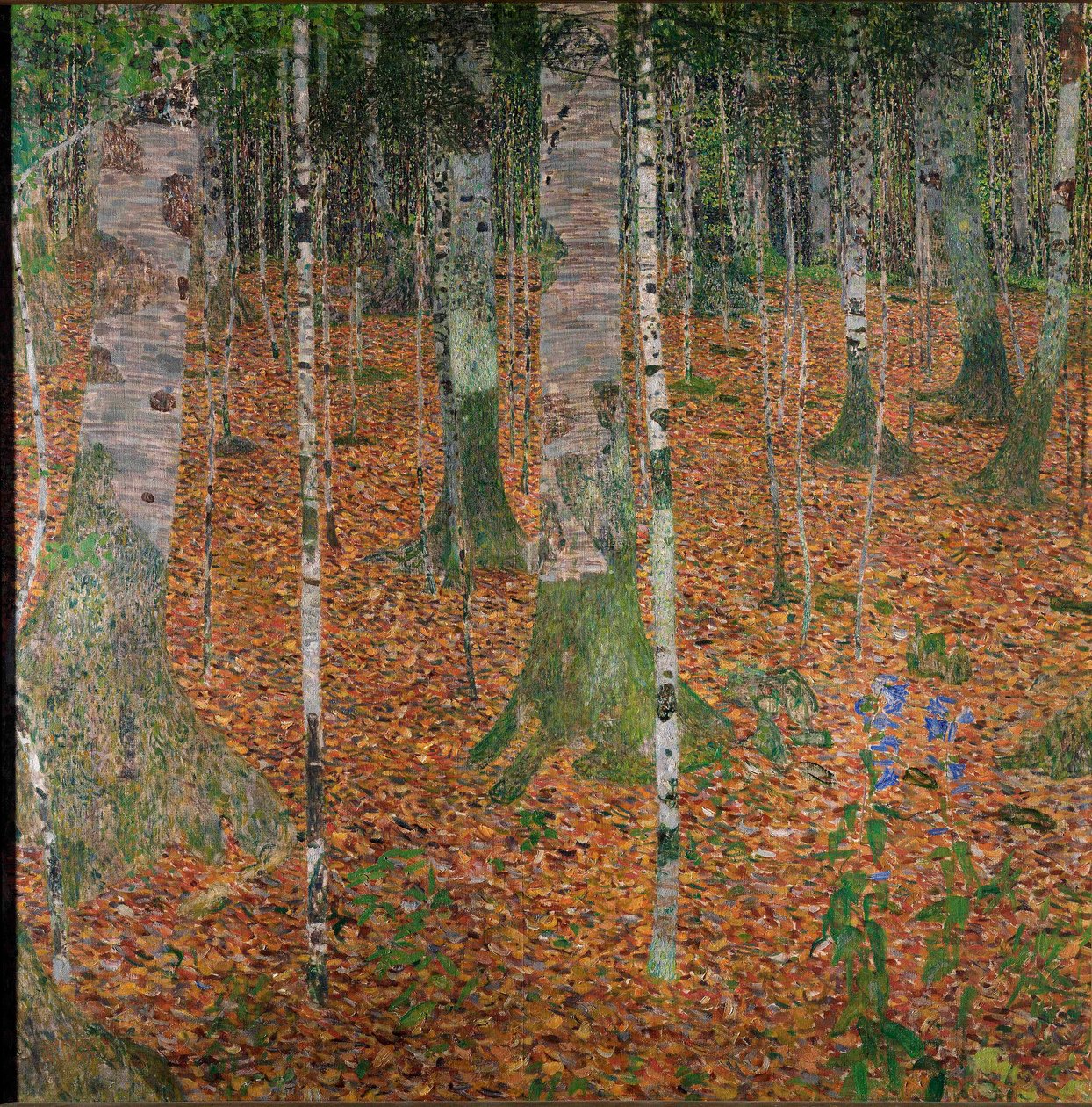 Birch Forest by Gustav Klimt: Buy fine art print