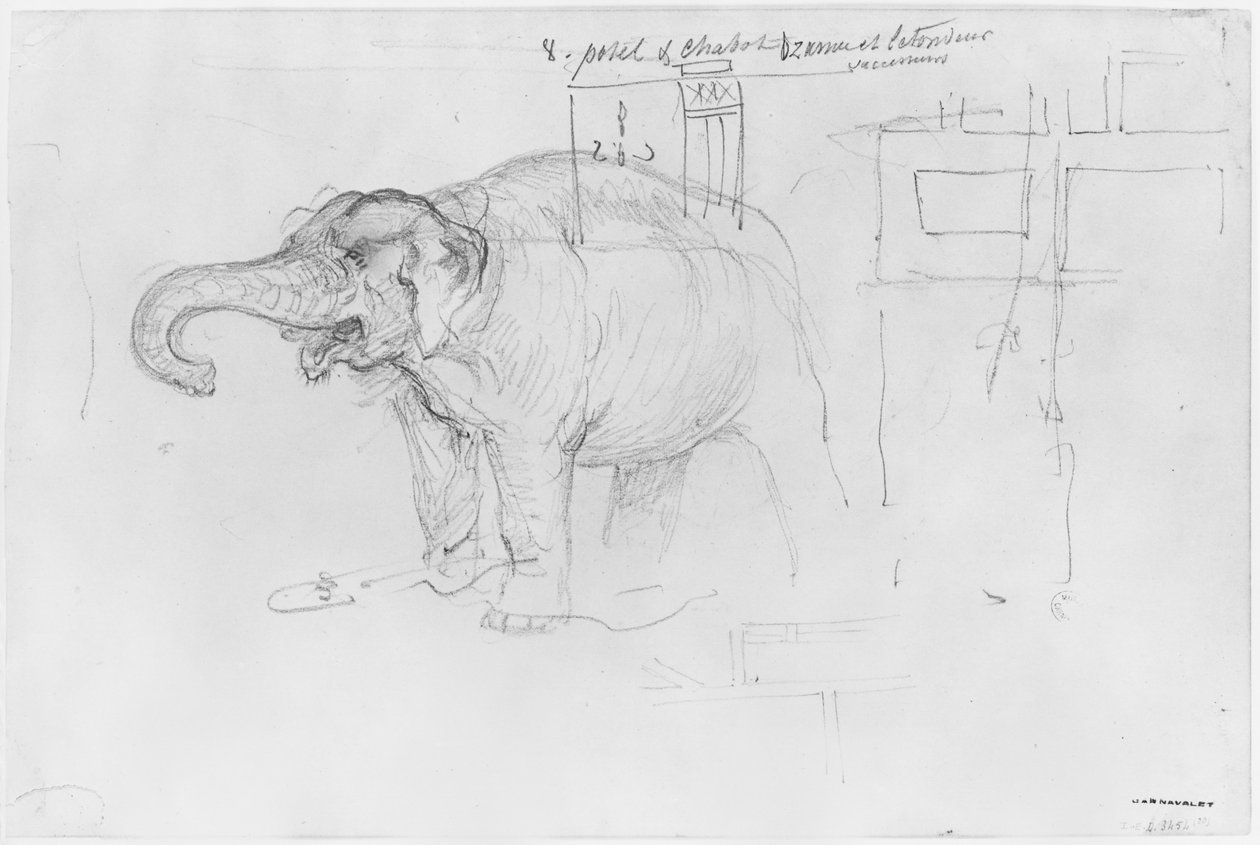 Album of the Siege of Paris, Elephant by Gustave Dore