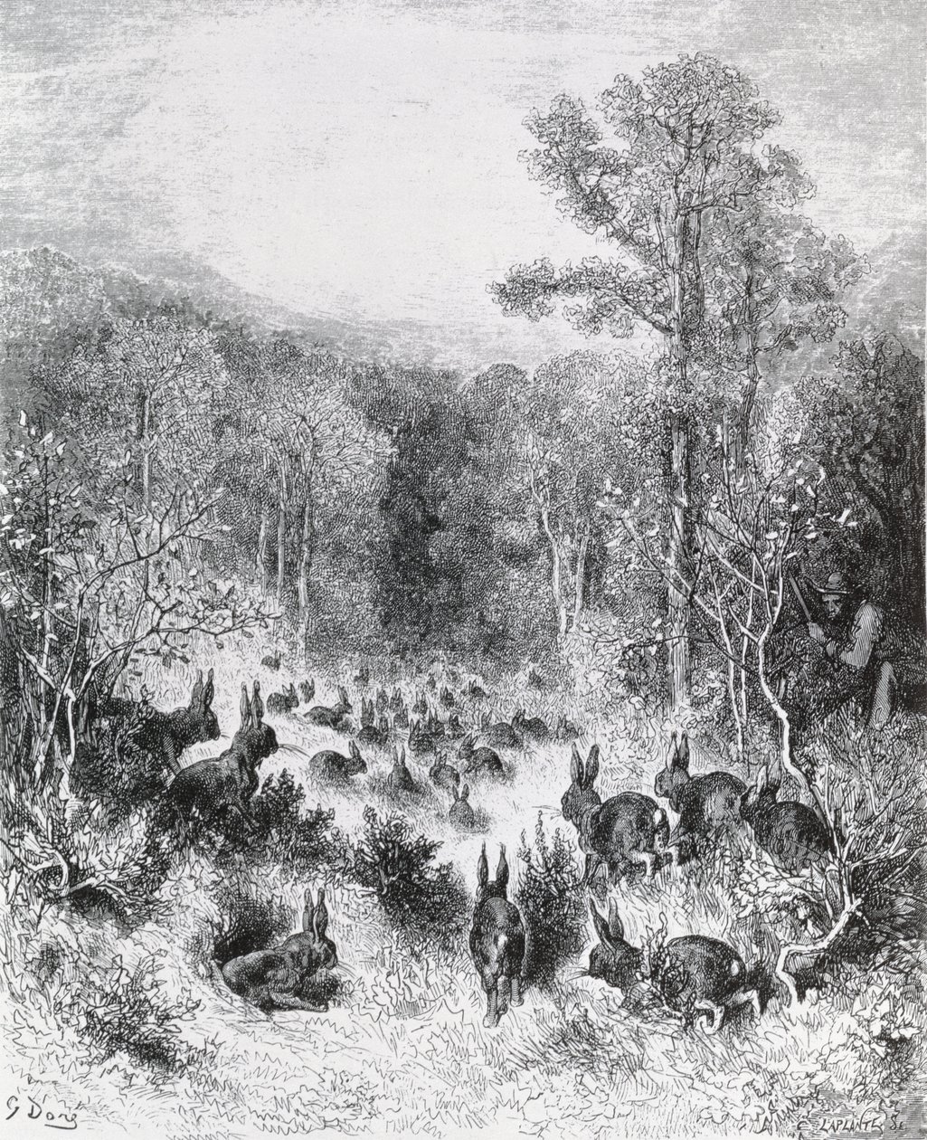 The Rabbits, Illustration from 'Fables' by La Fontaine, 1868
