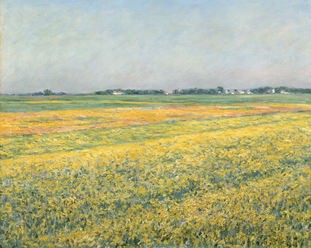 The Plain of Gennevilliers, Yellow Fields
