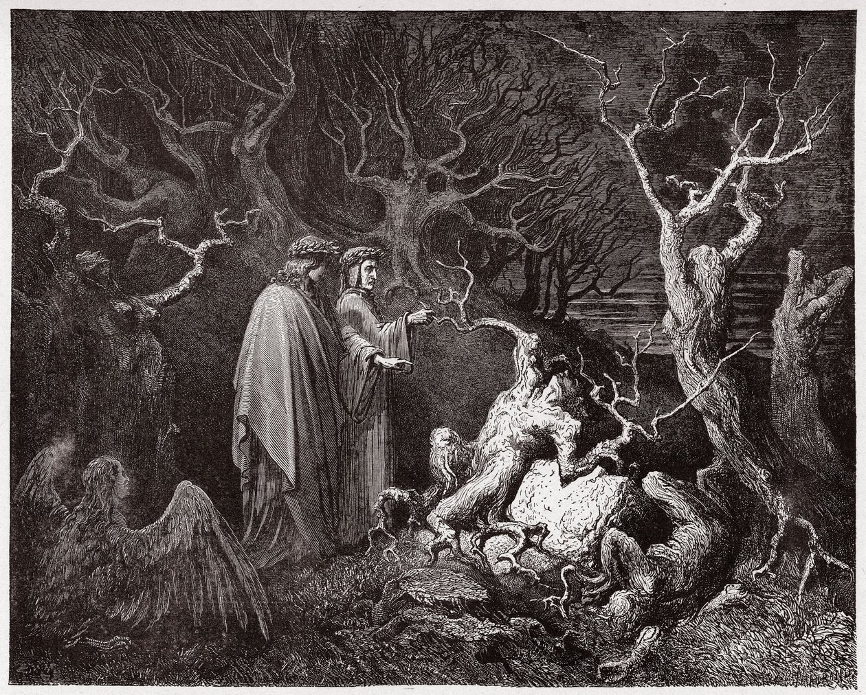 The Divine Comedy, Inferno, Canto 13: The suicides in the forest - by ...