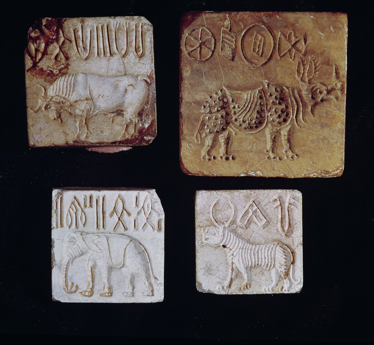 Four seals depicting a bull, a rhinoceros, an elephant and a tiger with ...