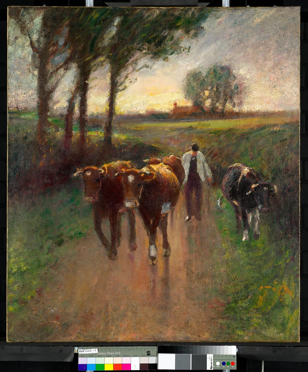 Herding Cows to Pasture by Harry Fidler: Fine art print