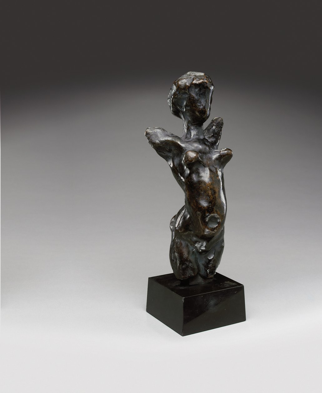 Life - Torso with Head, Conceived 1906, This Version Cast by Valsuani ...