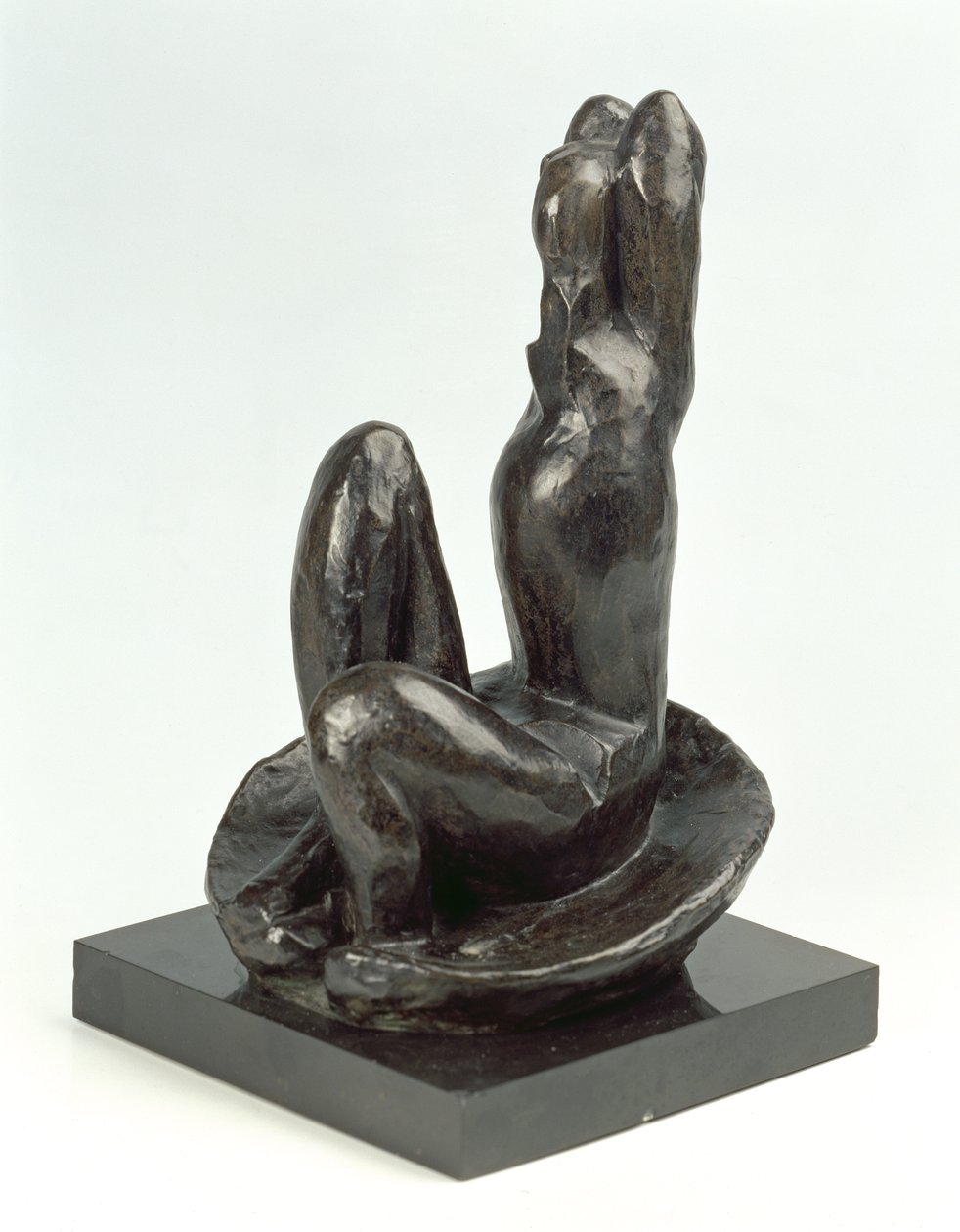 Venus in a Shell I by Henri Matisse: Buy fine art print