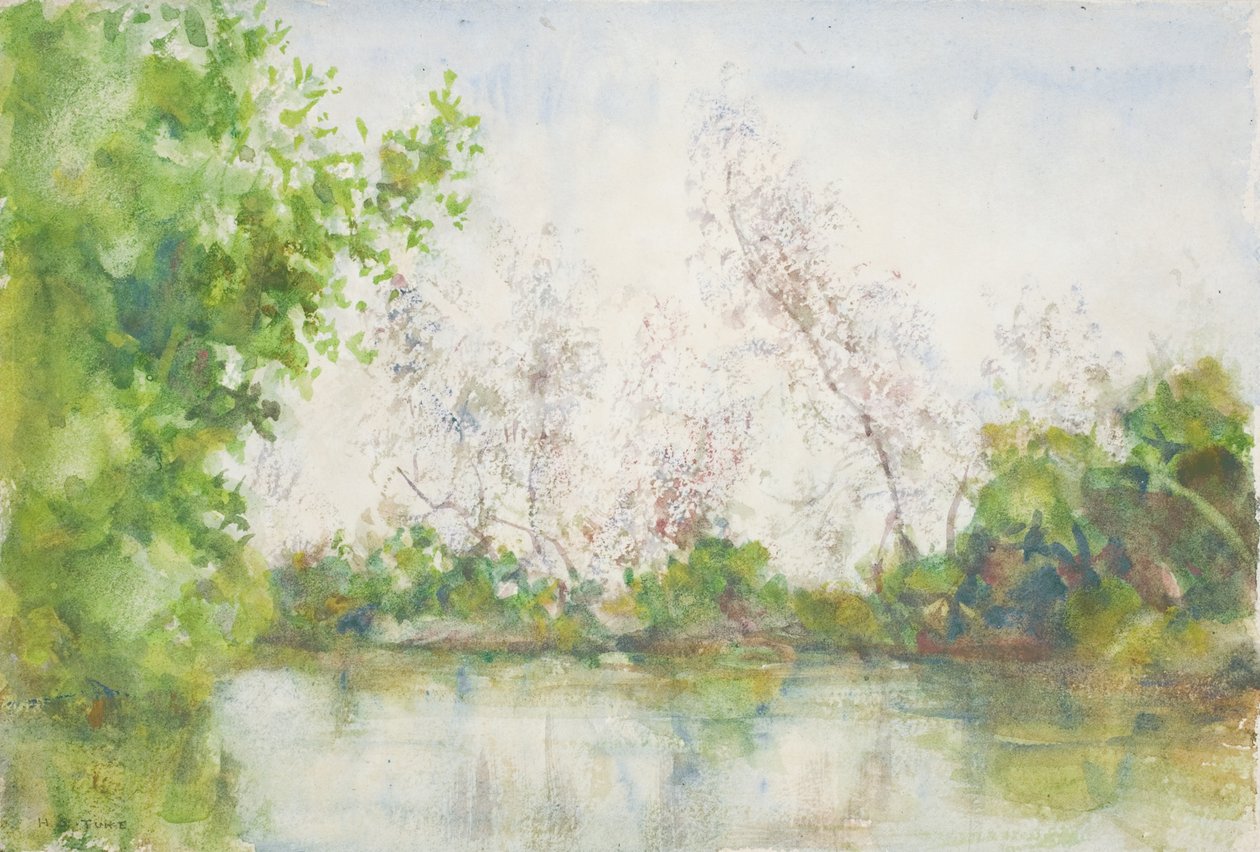 Mangrove Swamp, 1924 by Henry Scott Tuke: Fine art print