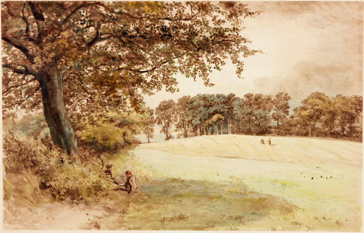 Benwell Hill Top by Henry Burdon Richardson: Fine art print
