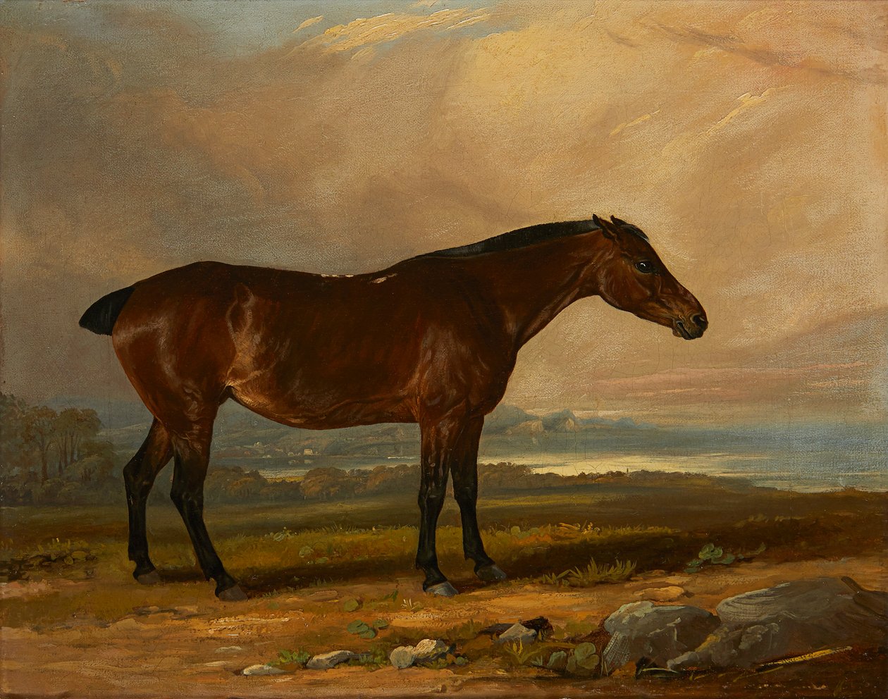 Study of a Bay Hunter in a Landscape by Henry Calvert