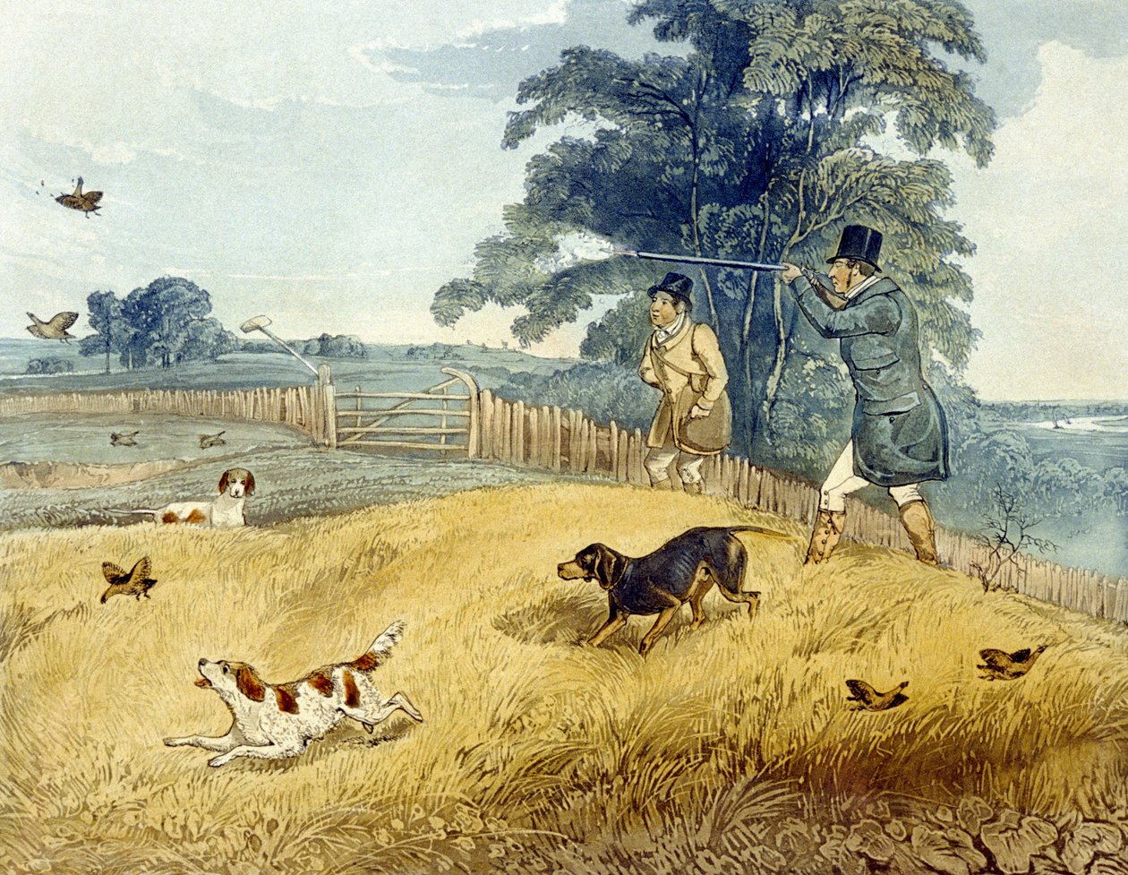 Flushing Birds, plate from 'Partridge Shooting' (engraved by Joseph ...