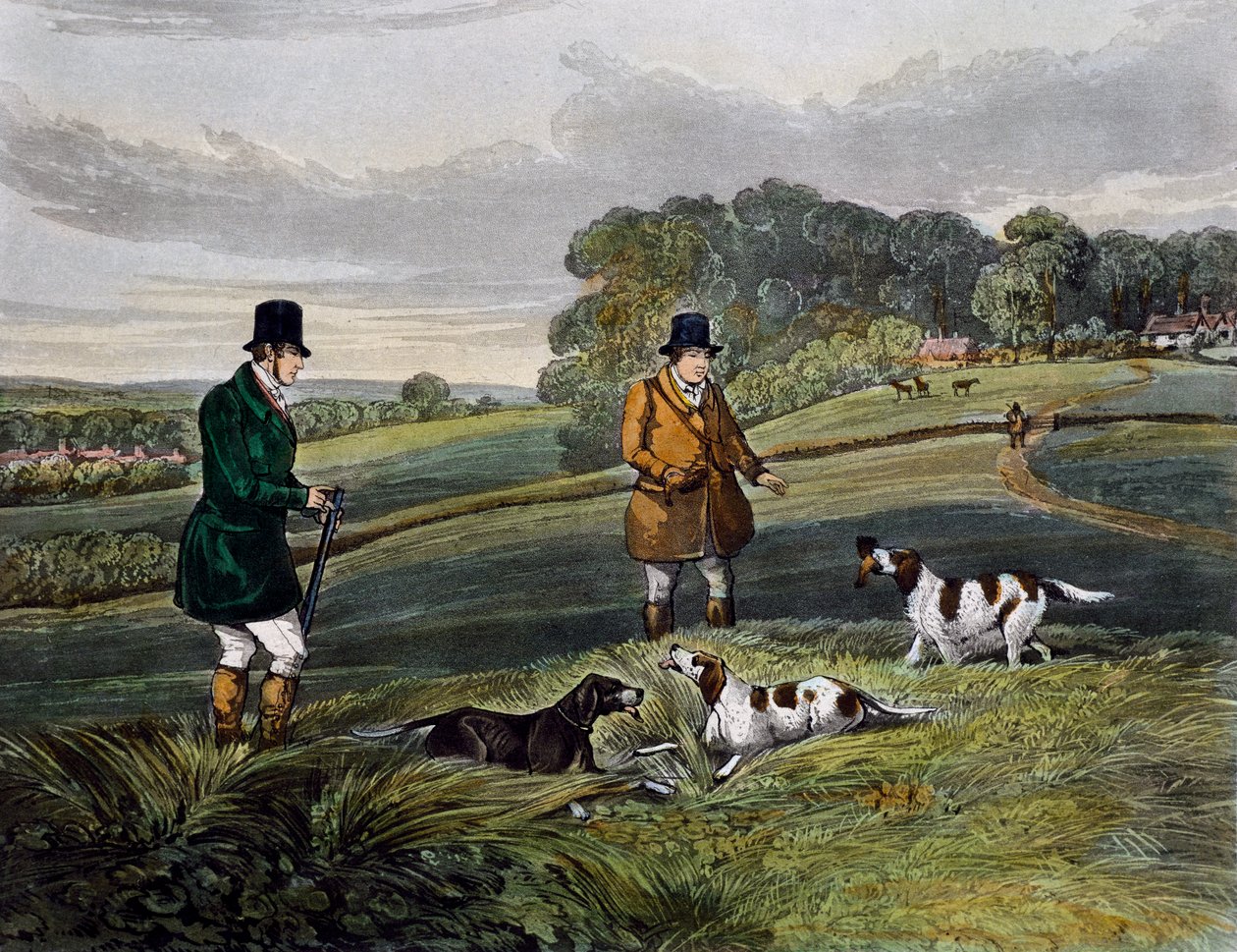 Partridge hunting by Henry Thomas Alken: Fine art print