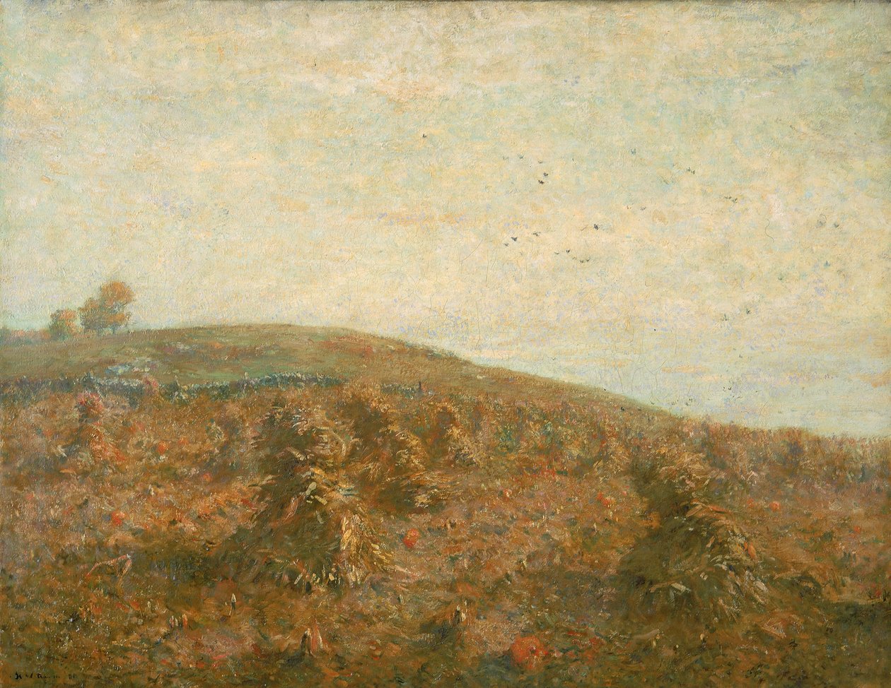 The Cornfield by Henry Ward Ranger: Buy fine art print