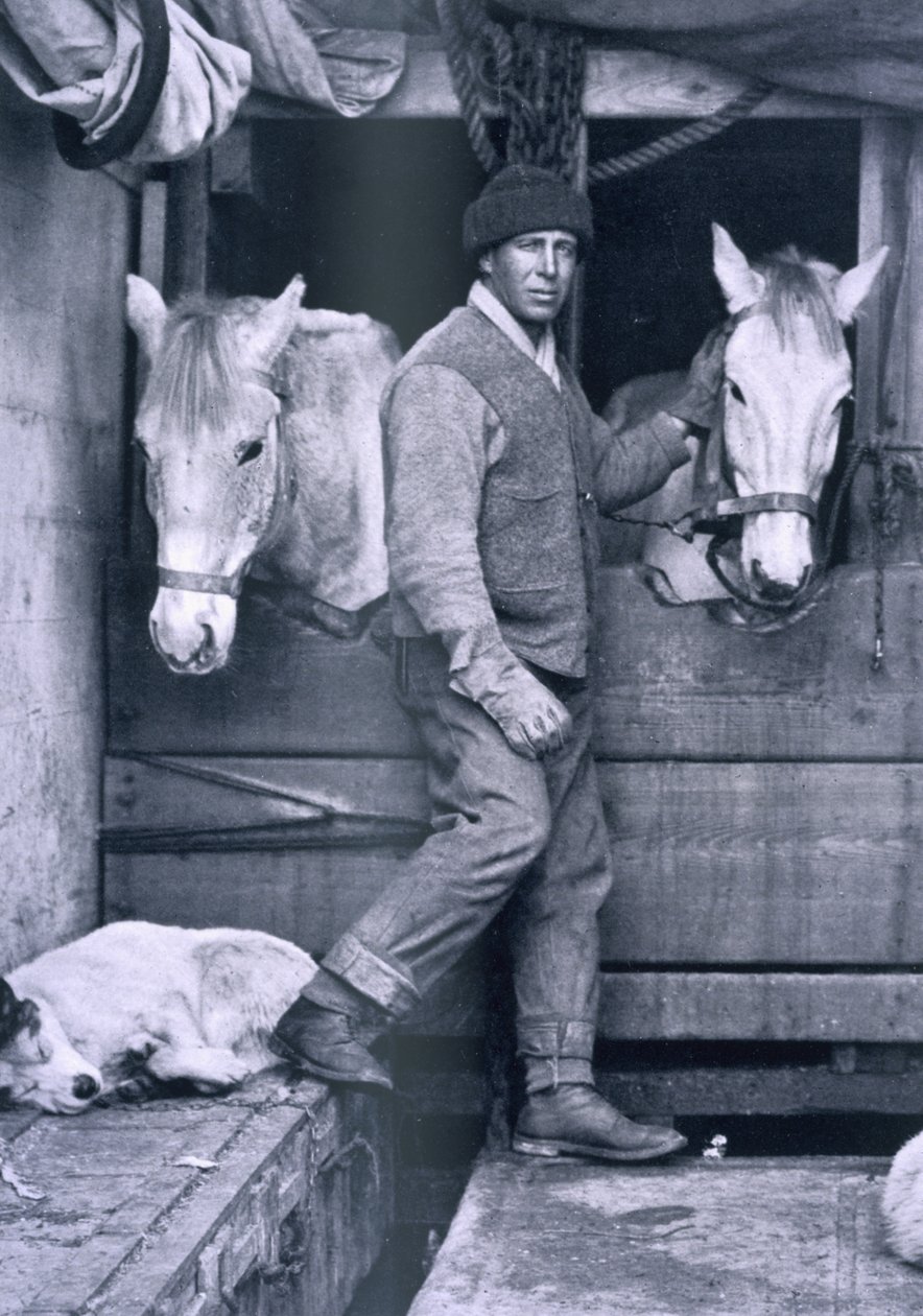 Capt. Oates and Two of the Ponies on the Terra Nova, from 'Scott's Last ...