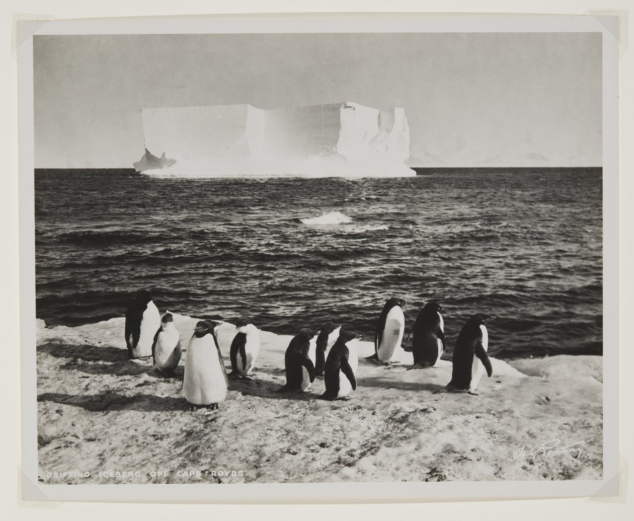 Drifting Iceberg off Cape Royds by Herbert Ponting