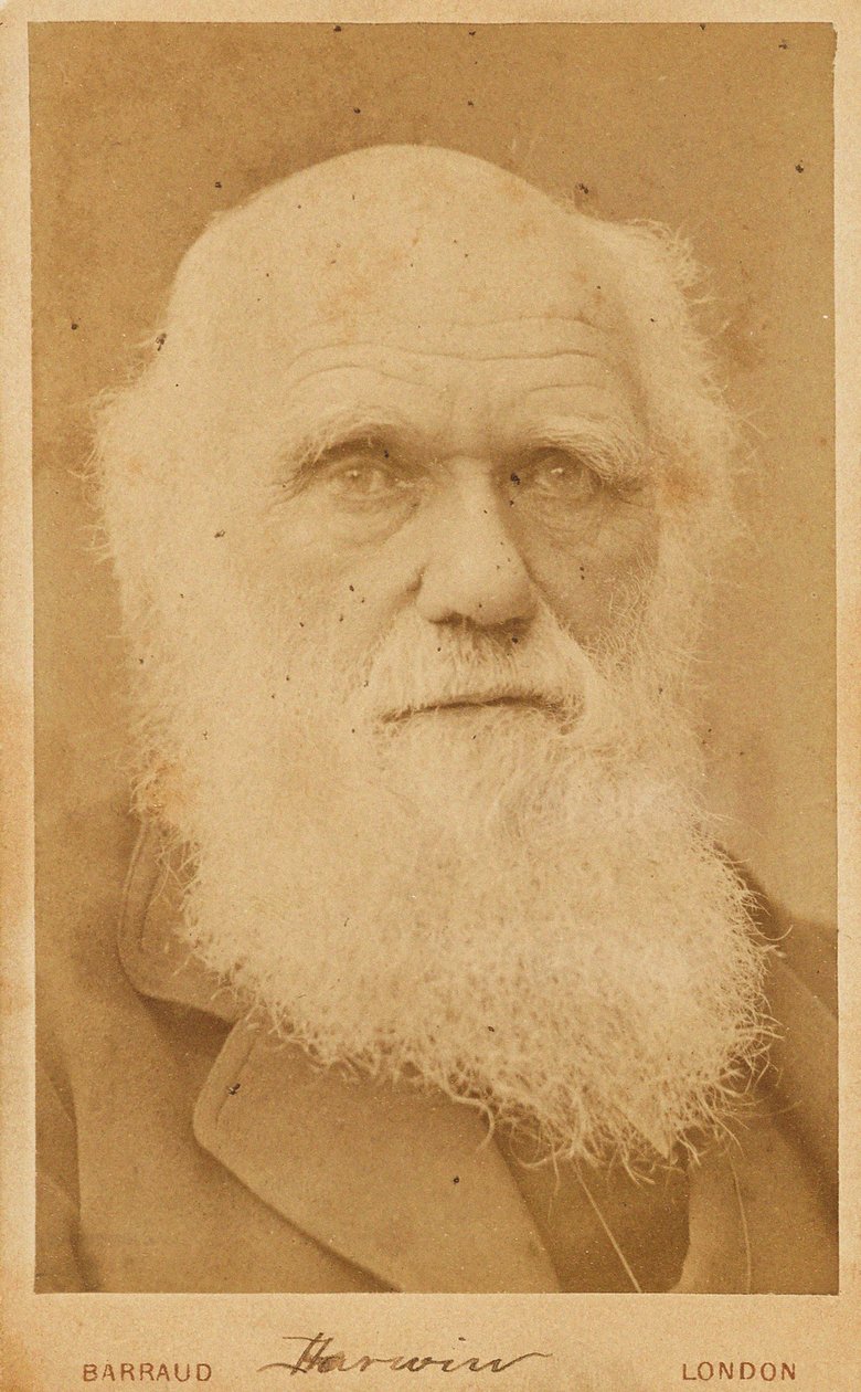 Portrait of Charles Darwin by Herbert Rose Barraud