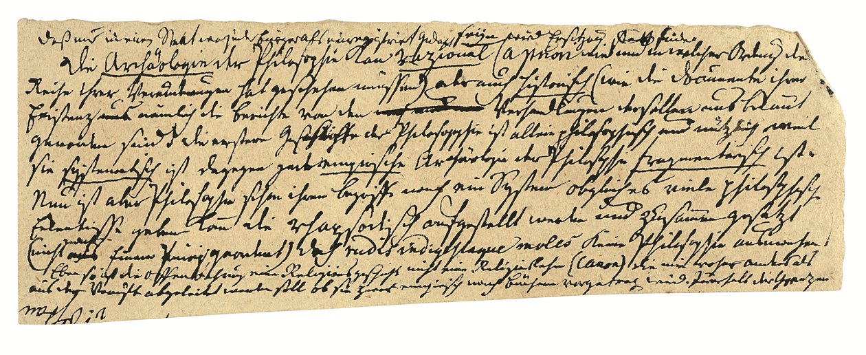 Autograph manuscript, in German, notes on philosophy and the University ...