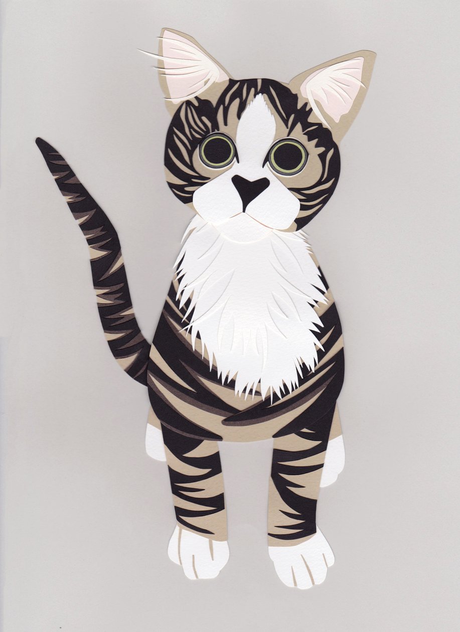 Pussycat, 2016 by Isobel Barber: Buy fine art print