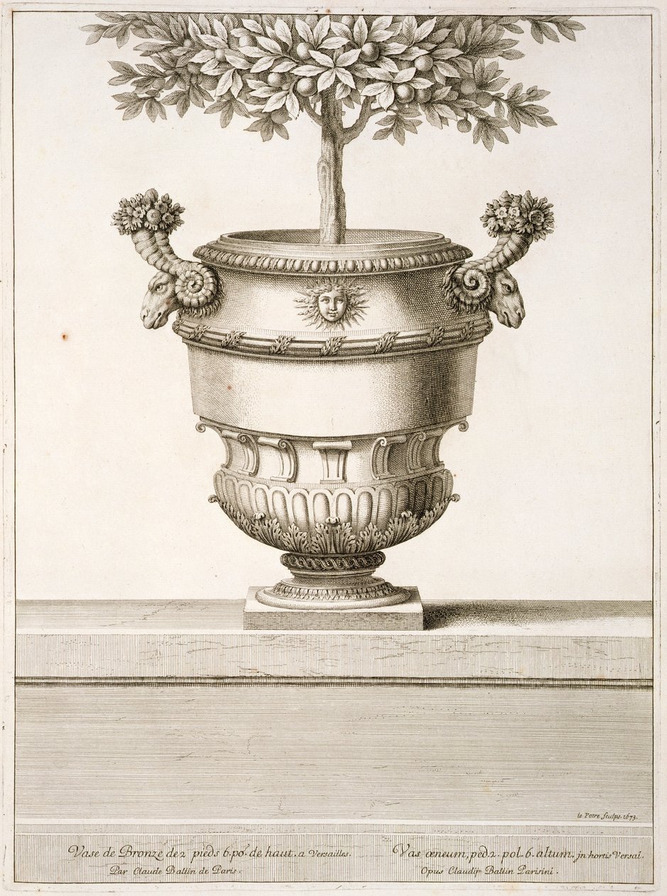Bronze urns as used for citrus trees, illustration from 'Views and ...