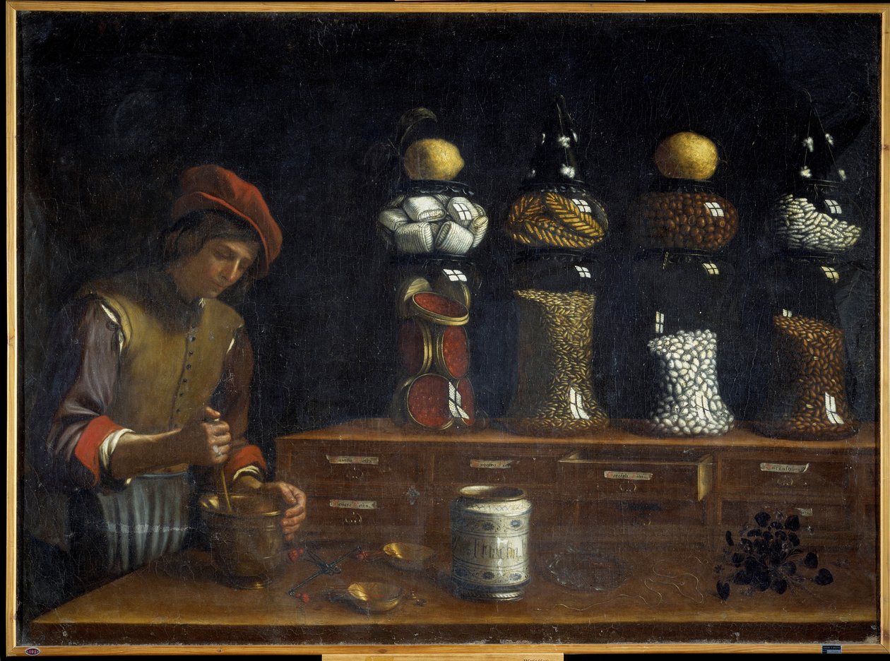 Herbalist in His Workshop in the 17th Century