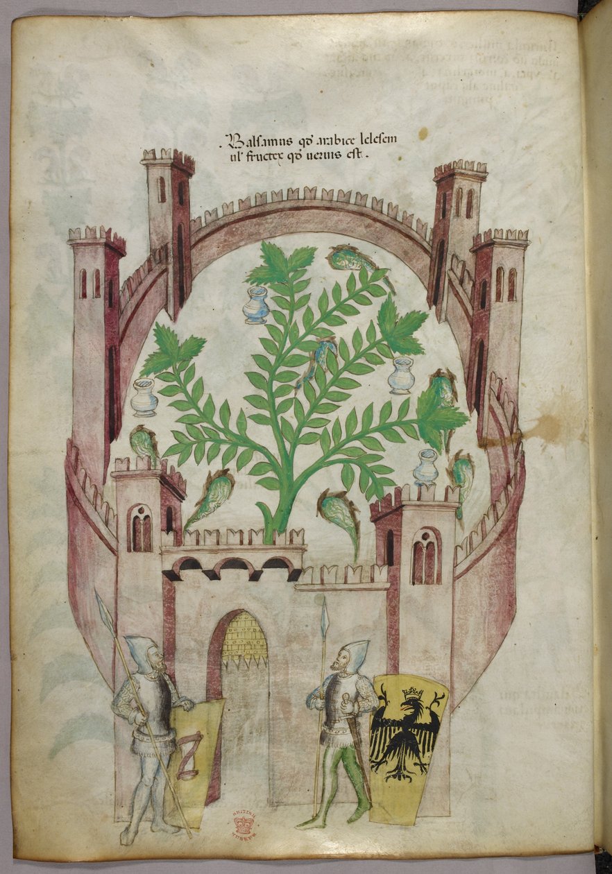 Illustration of the balsam garden of Cairo, with seven pools of water ...