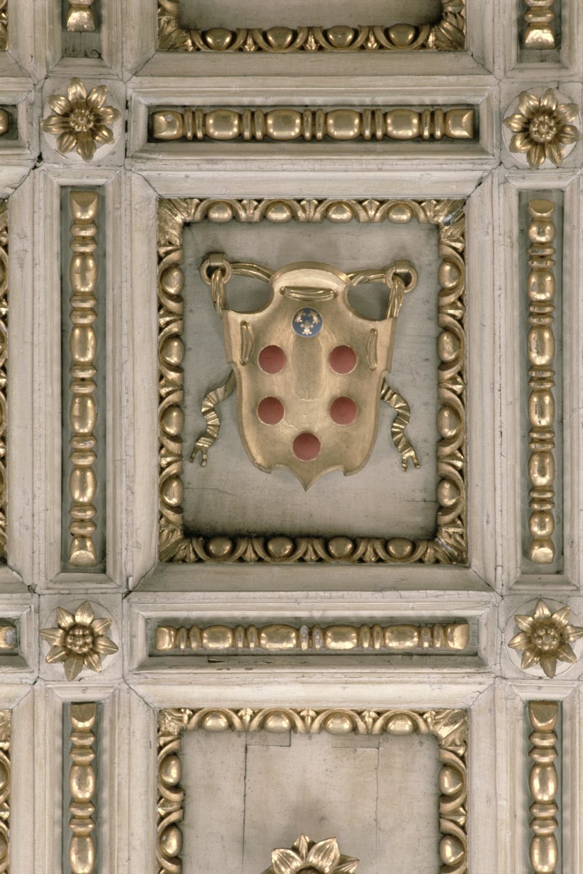 Medici coat of arms, from the soffit of the church