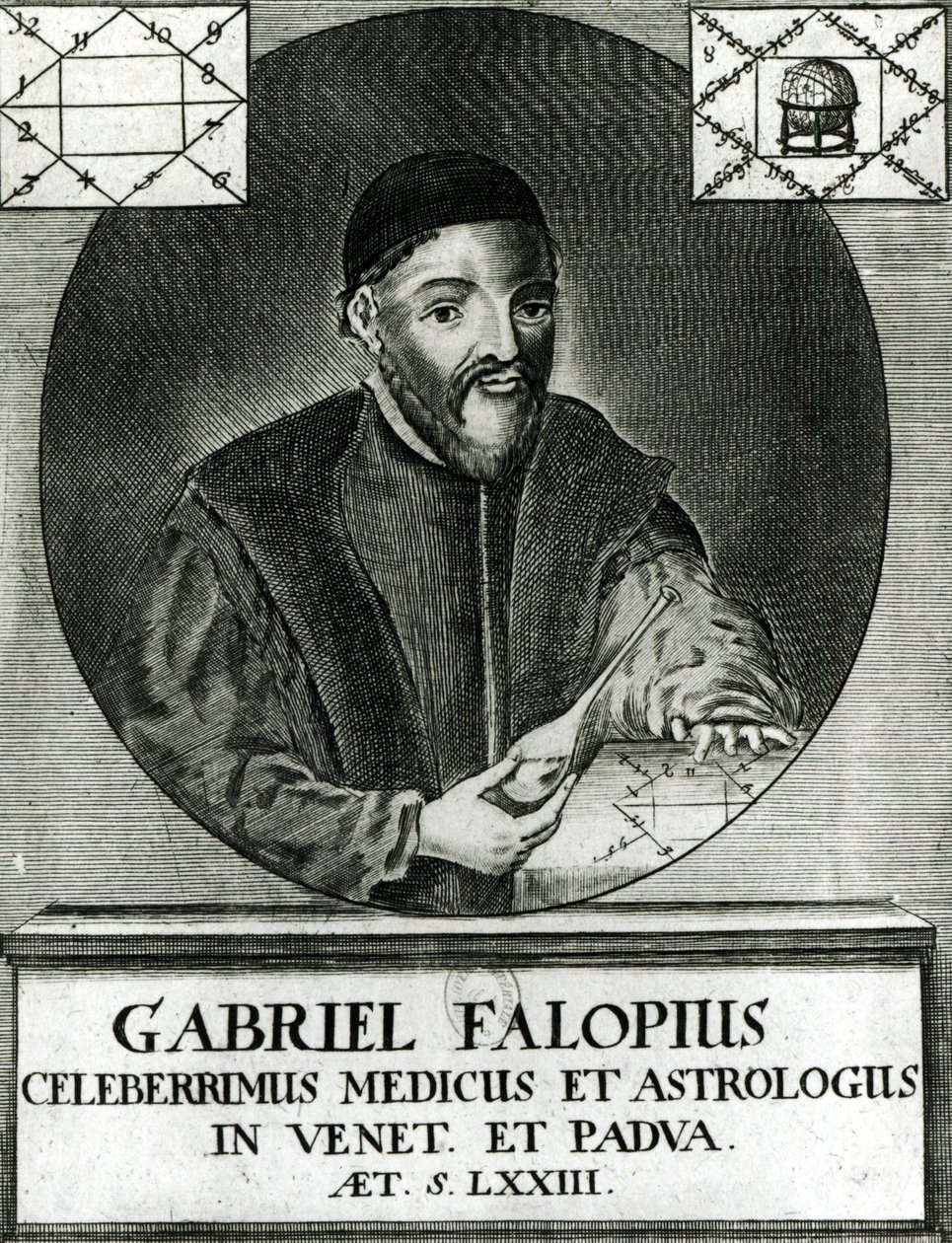 Portrait of Gabriel Fallopius by Italian School