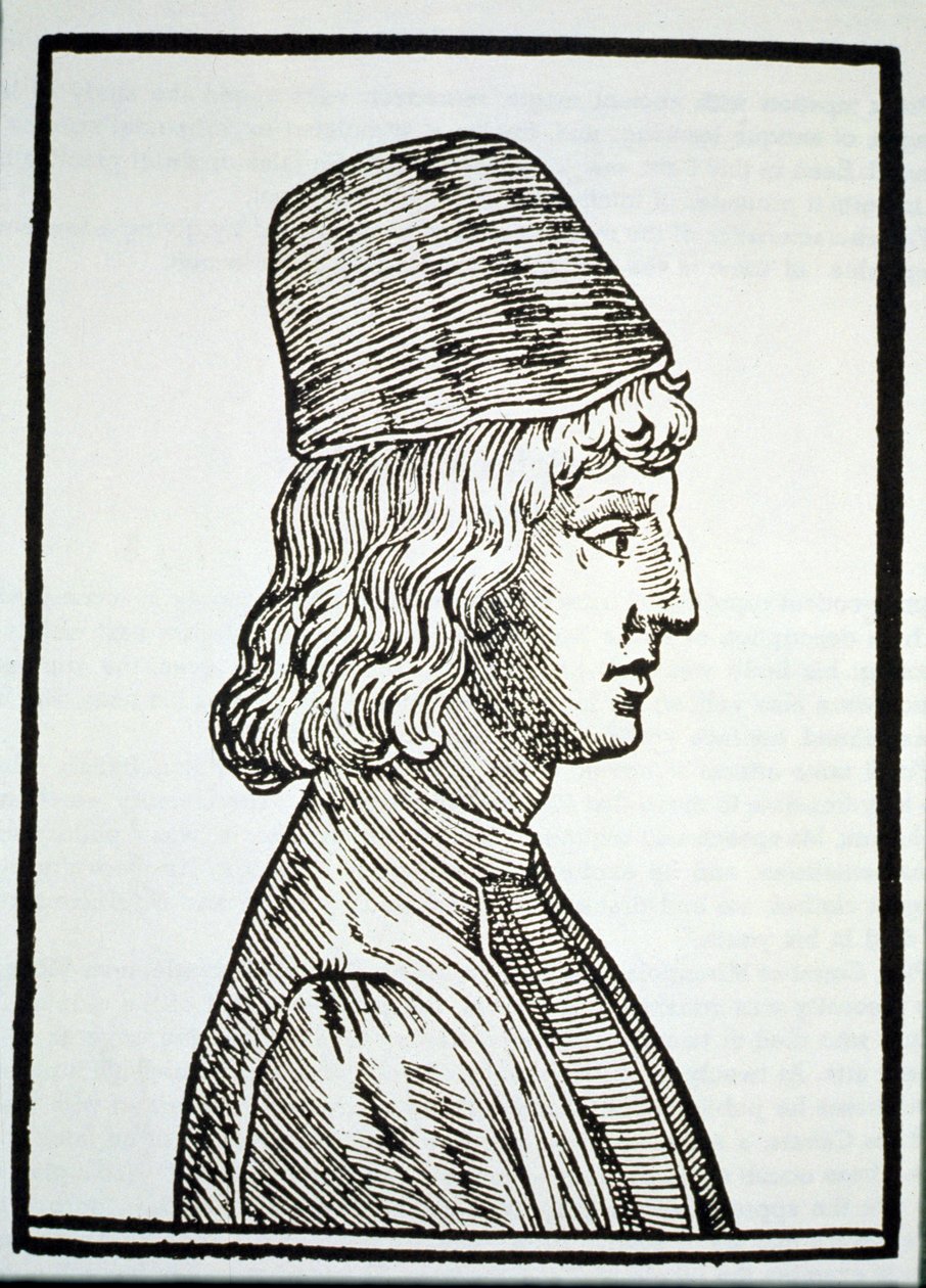 Portrait of Pico della Mirandola, from Delle Celeste Fisionomia by ...