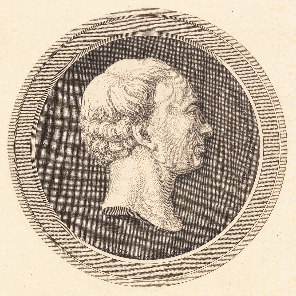 Relief Medallion with Portrait of Bonnet by J.F. Clemens