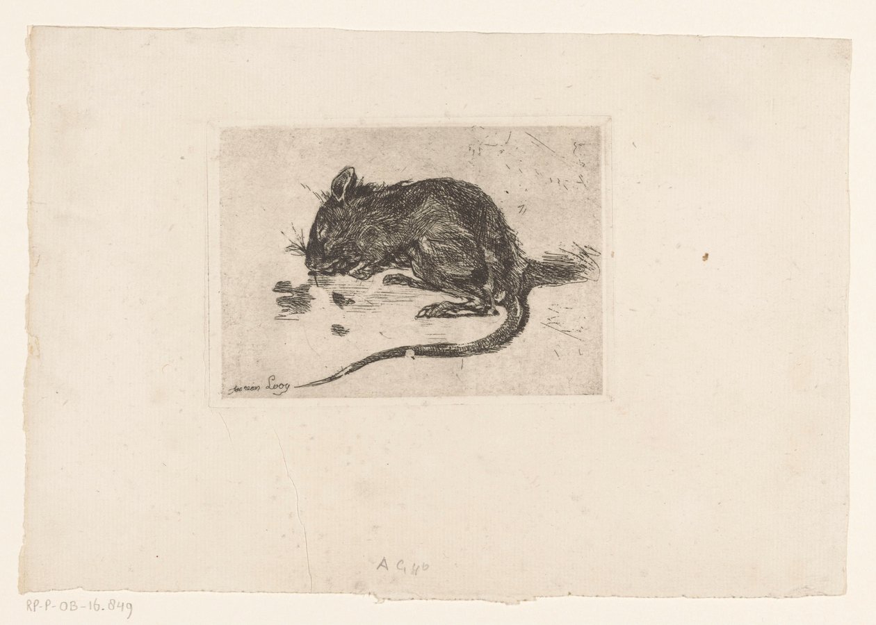Mouse by Jac van Looij: Premium art reproduction