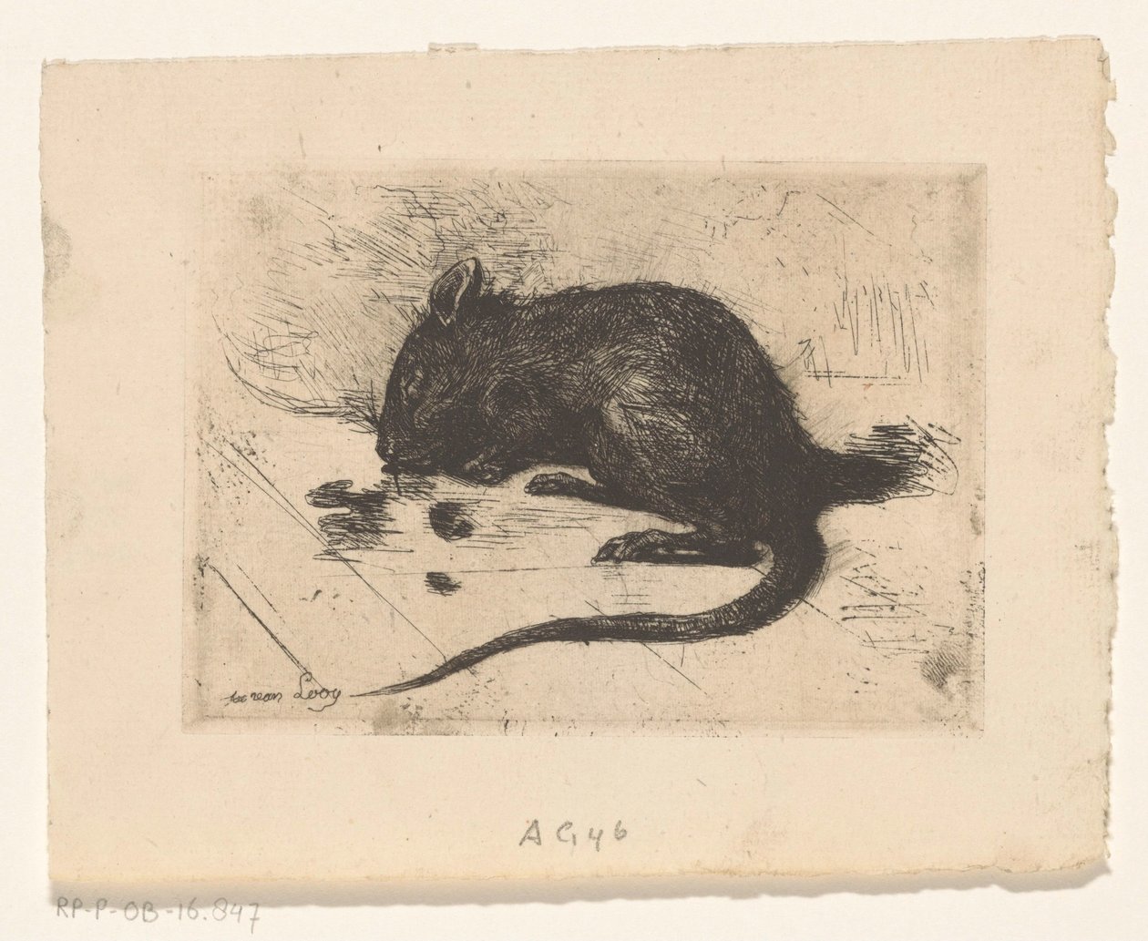 Mouse by Jac van Looij: Highest-quality art reproduction