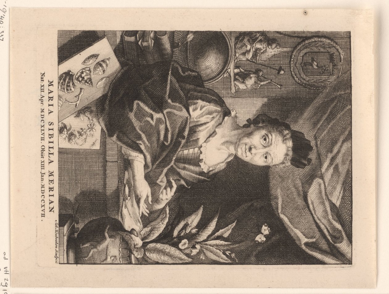Portrait of Maria Sibylla Merian by Jacob Houbraken