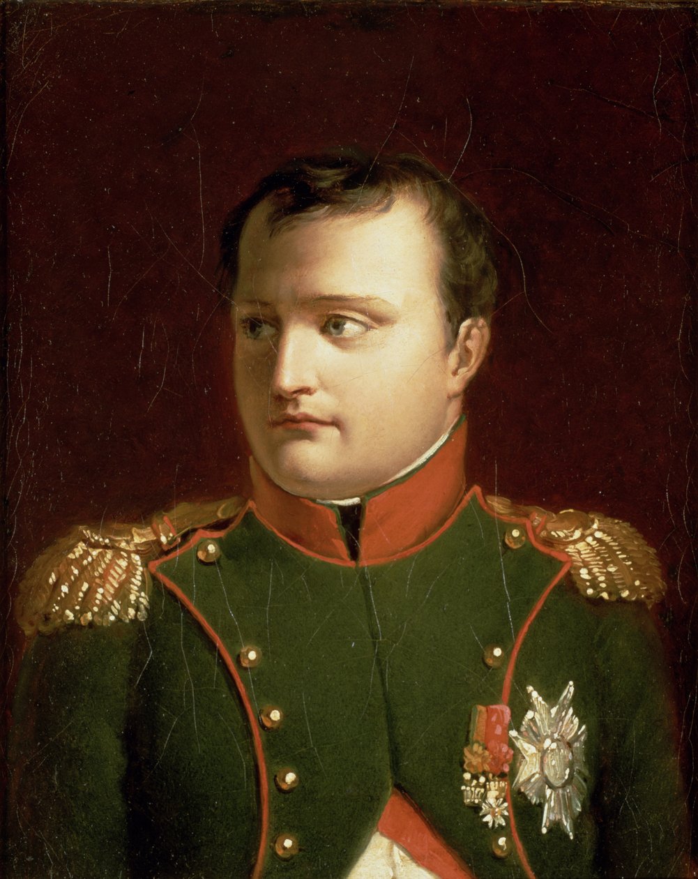 Napoleon Bonaparte by Jacques Louis David: Fine art print