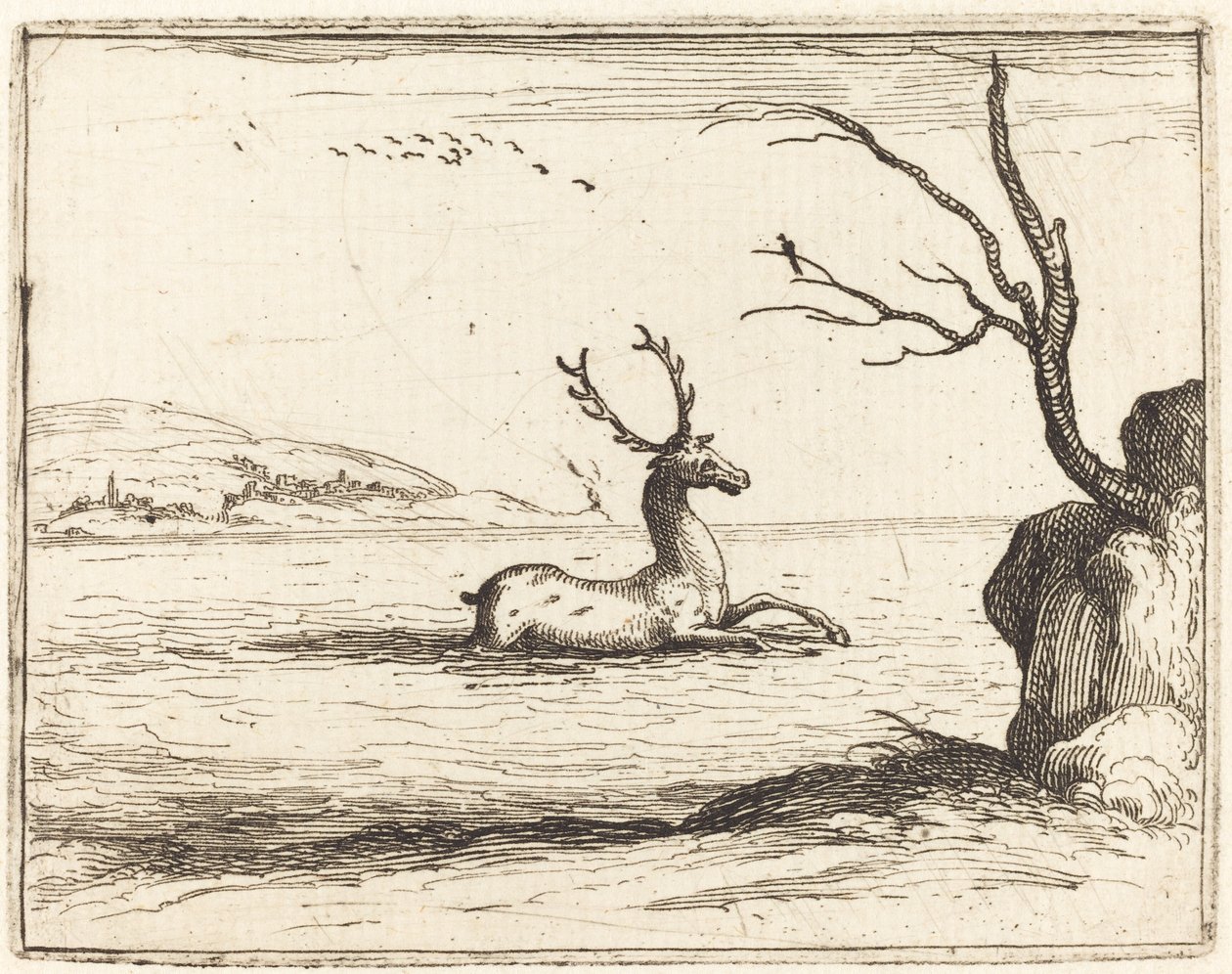 Stag in the Water by Jacques Callot: Buy fine art print
