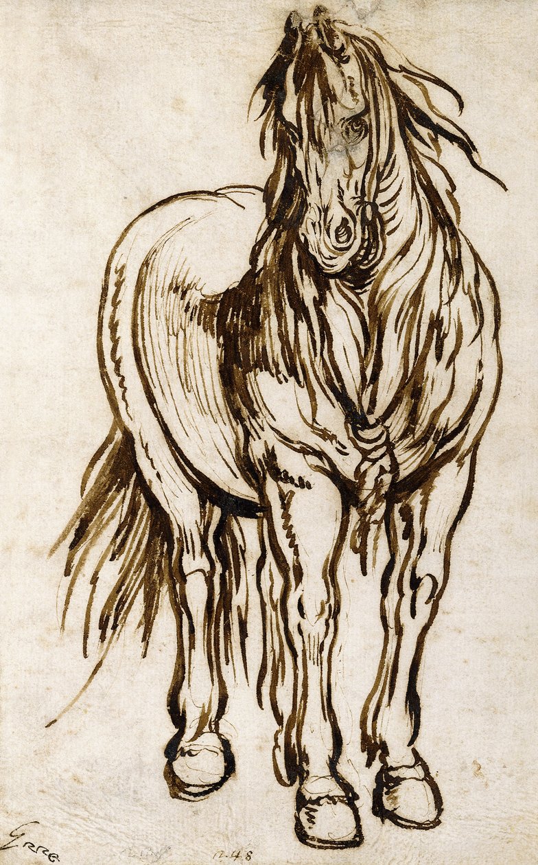 Study of a Horse by Jacques Callot: Buy fine art print