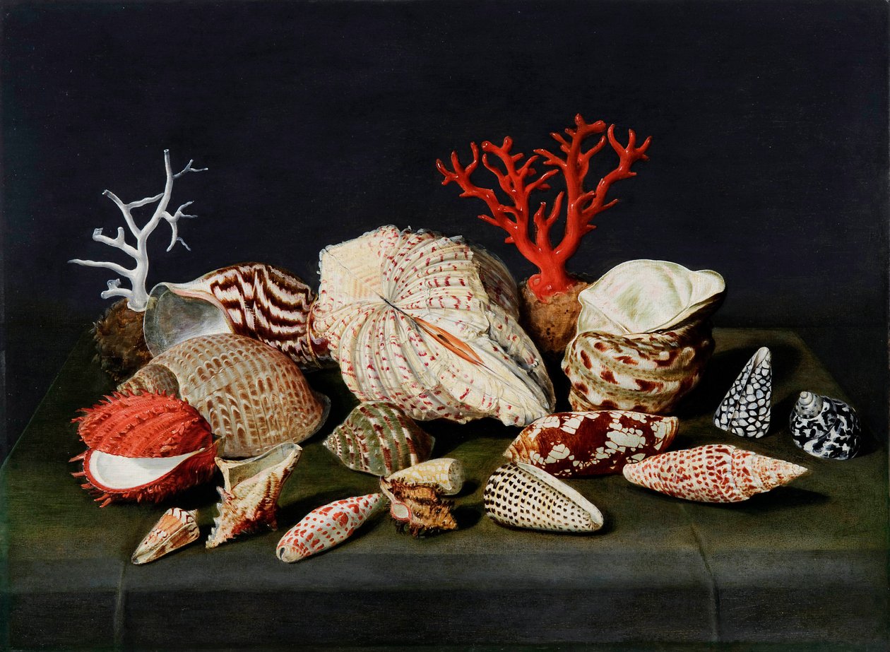 Still Life with Shells and Corals by Jacques Linard
