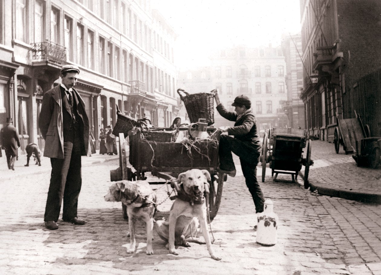 Boy with Dogcart, Antwerp by James Batkin: Fine art print