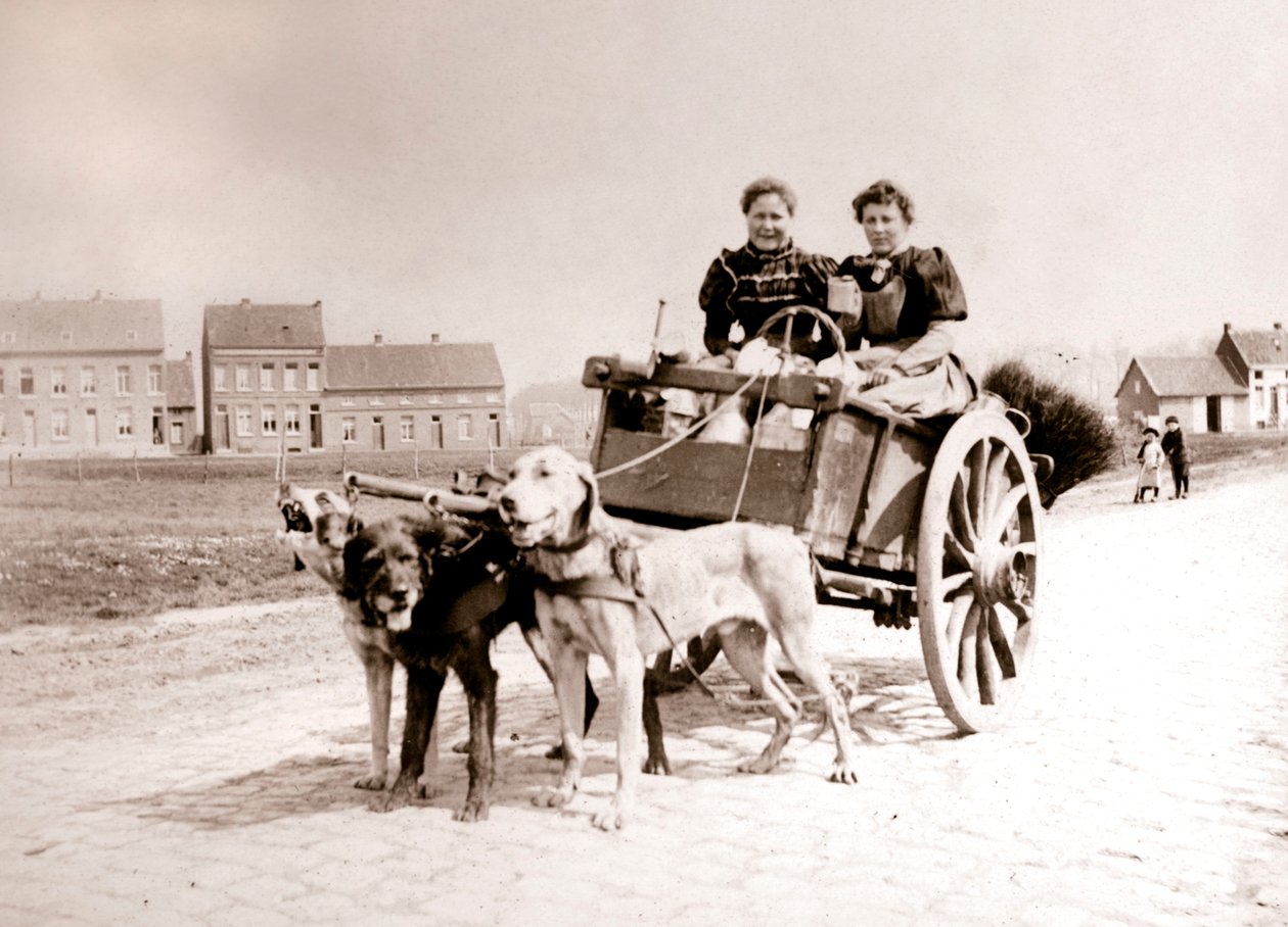 Dogs Pulling Women on a Cart, Antwerp by James Batkin