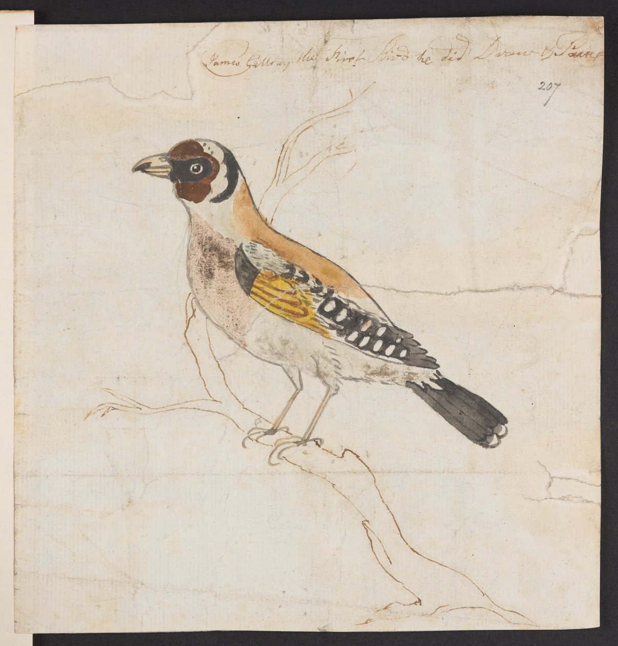 Bird nestling by James Gillray: Premium art reproduction
