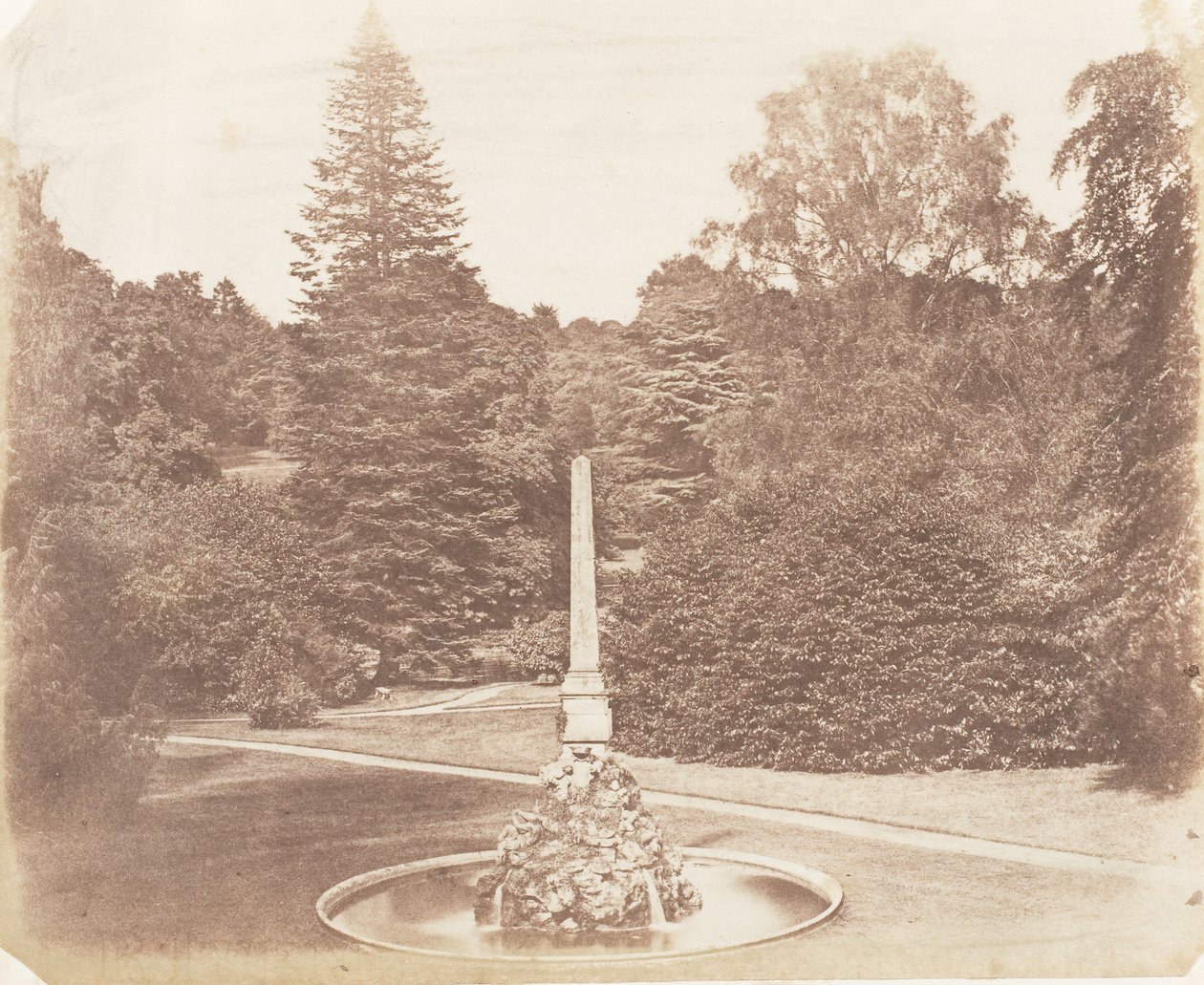In the Garden. Blenheim by James Knight: Fine art print