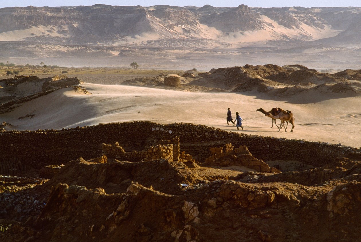 Camel with salt caravan members cross a desert plateau at Bilma, Niger