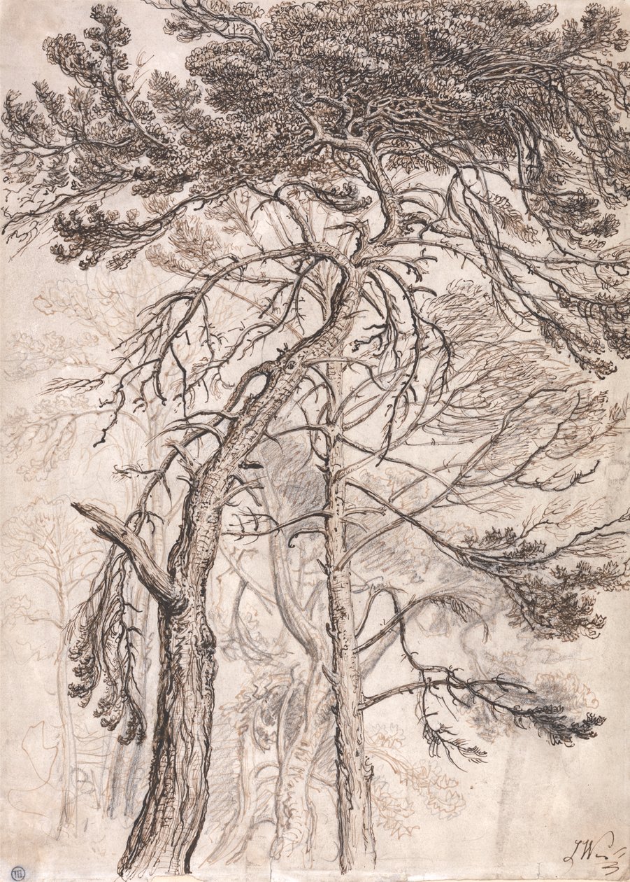 Study of Trees by James Ward: Buy fine art print
