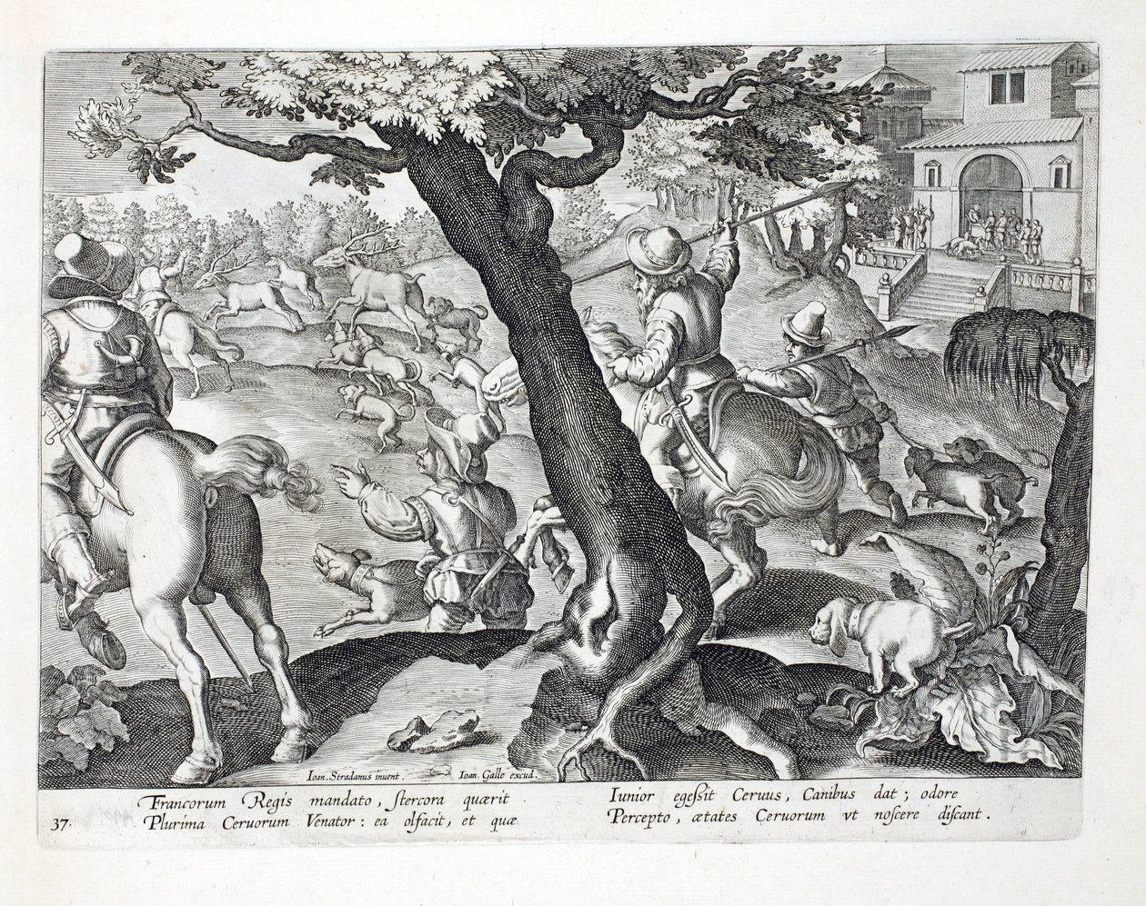 The French King Stag Hunting with Dogs, Illustration from 'Venationes ...