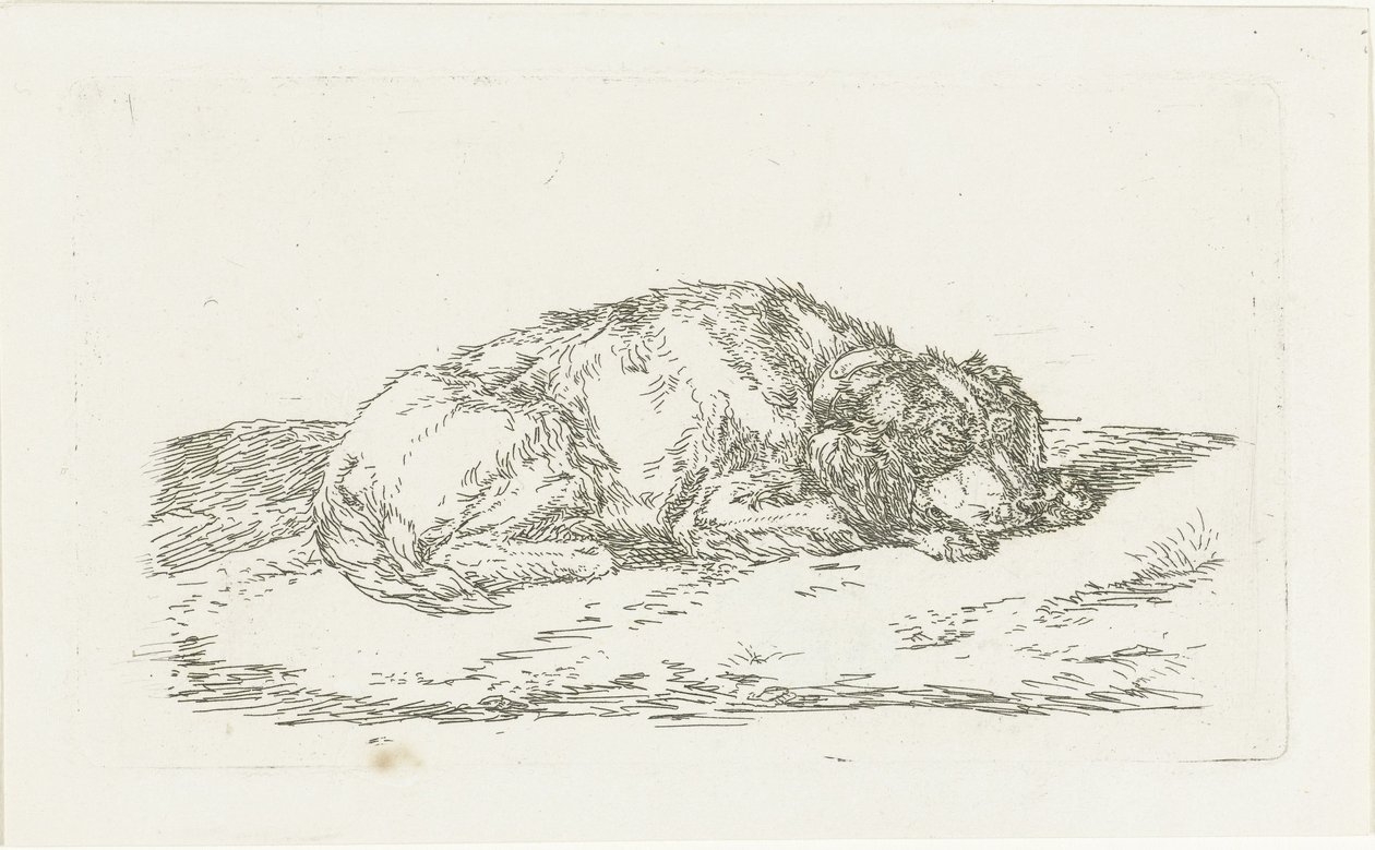 Sleeping Dog with Head Resting on Forepaws by Jan Dasveldt