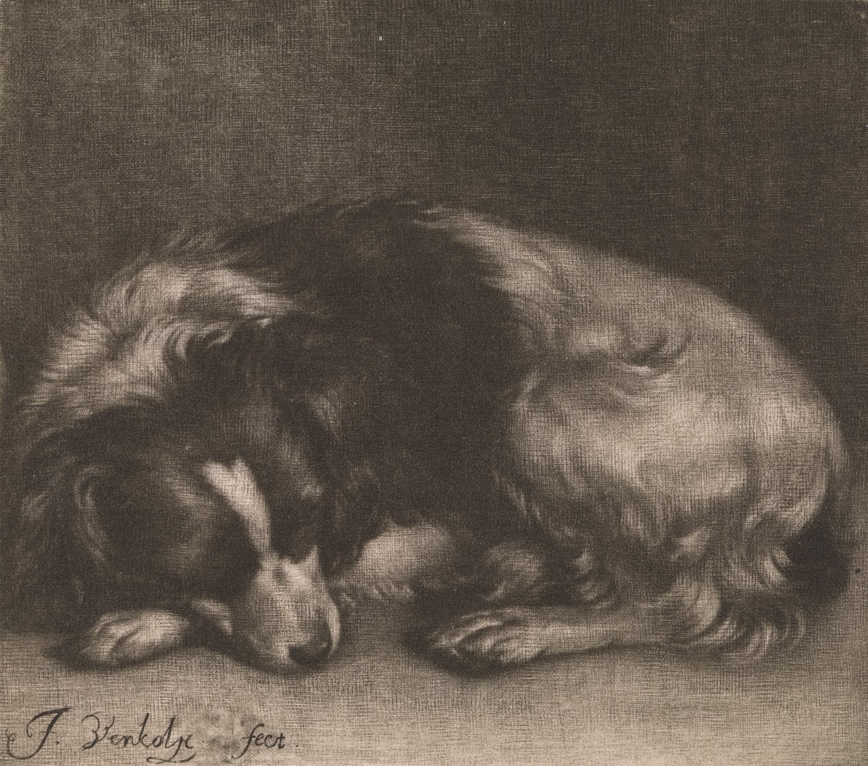 A Sleeping Dog by Jan Verkolje: Premium art reproduction