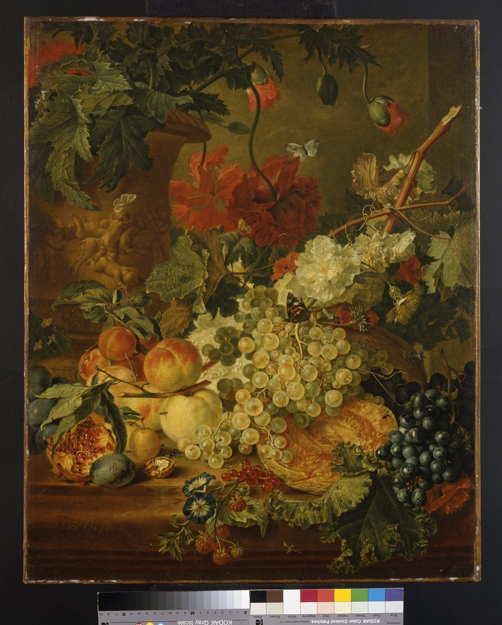 Fruit and Flowers, after J. van Huysum by Jan van Os