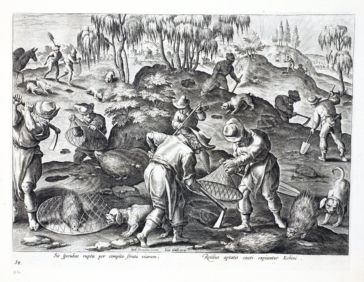 Digging Out and Capturing Porcupines, plate 54, illustration from ...
