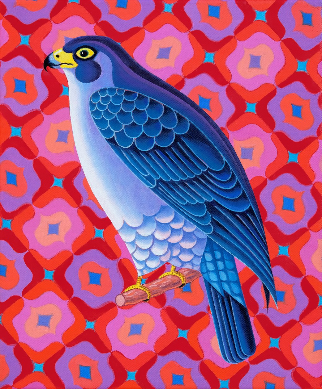 Peregrine Falcon by Jane Tattersfield: Buy fine art print