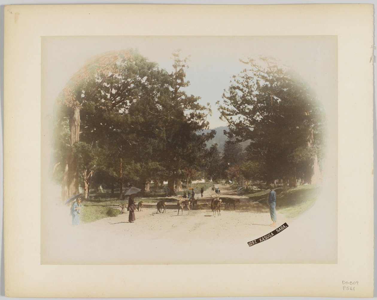 Kasuga, Nara, Japan by Japanese Photographer