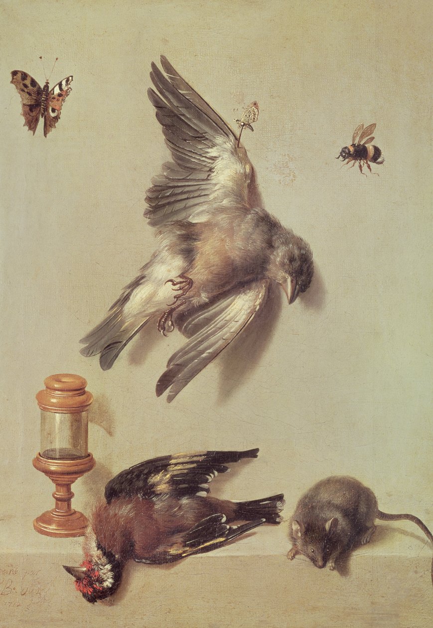Still Life of Dead Birds and a Mouse by Jean Baptiste Oudry